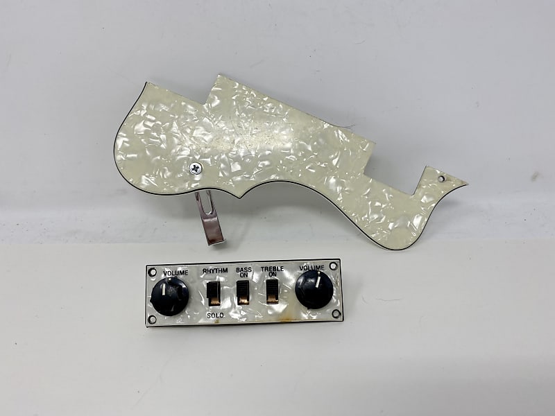 Hofner Violin Bass Controls and Pickguard BC2112 | Reverb