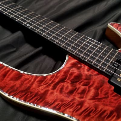 Demiurge Guitars Sanctuary 2024 - Dragon breath EX DEMO | Reverb