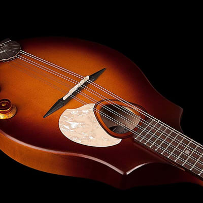 Seagull S8 Sunburst EQ Acoustic-Electric Mandolin with | Reverb