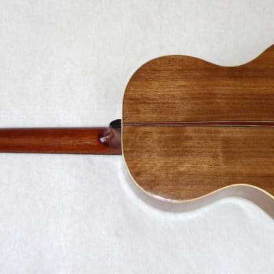 1999 Michael Turko "Tennessee Tornado " Parlor Guitar | Reverb