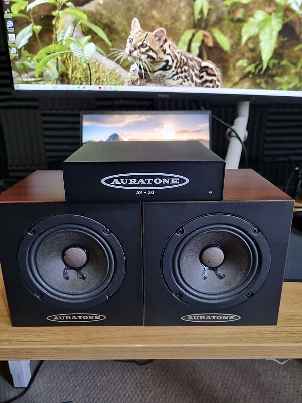 Auratone 5C Super Sound Cube Classic with Auratone A2-30 | Reverb