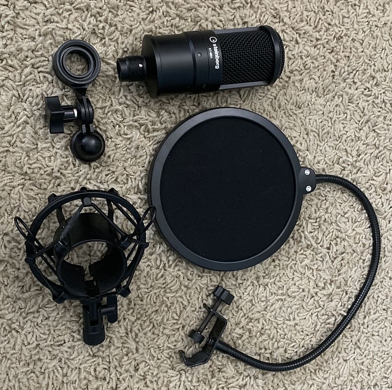 Steinberg ST-M01 Studio Condenser Mic w/extras | Reverb