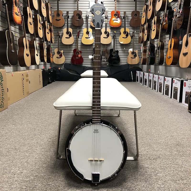 Alabama ALB10 Banjo w/ Case (Used - Kingston Location) | Reverb