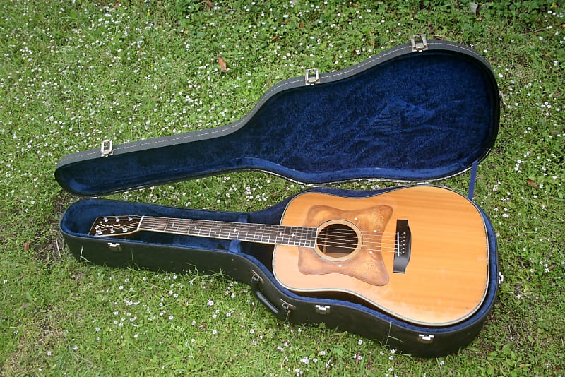 Late '70 Morris W50 Solid Spruce Top, Brazilian Rosewood - | Reverb