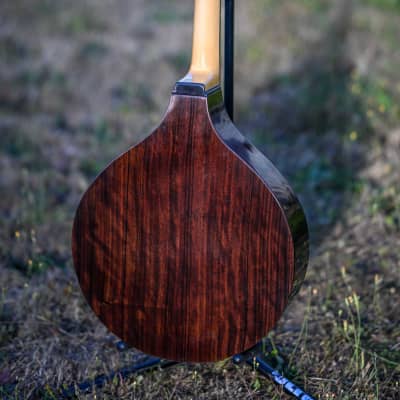 10 string cittern bouzouki mandocello octave mandolin made | Reverb