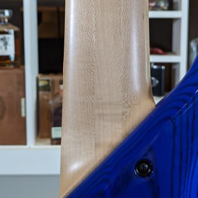 F Bass BN6 Deluxe: 33" Scale, Matching Ramp, Transparent Blue | Reverb