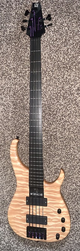 2006 Modulus Q5 quantum fretless five string Bartolini | Reverb