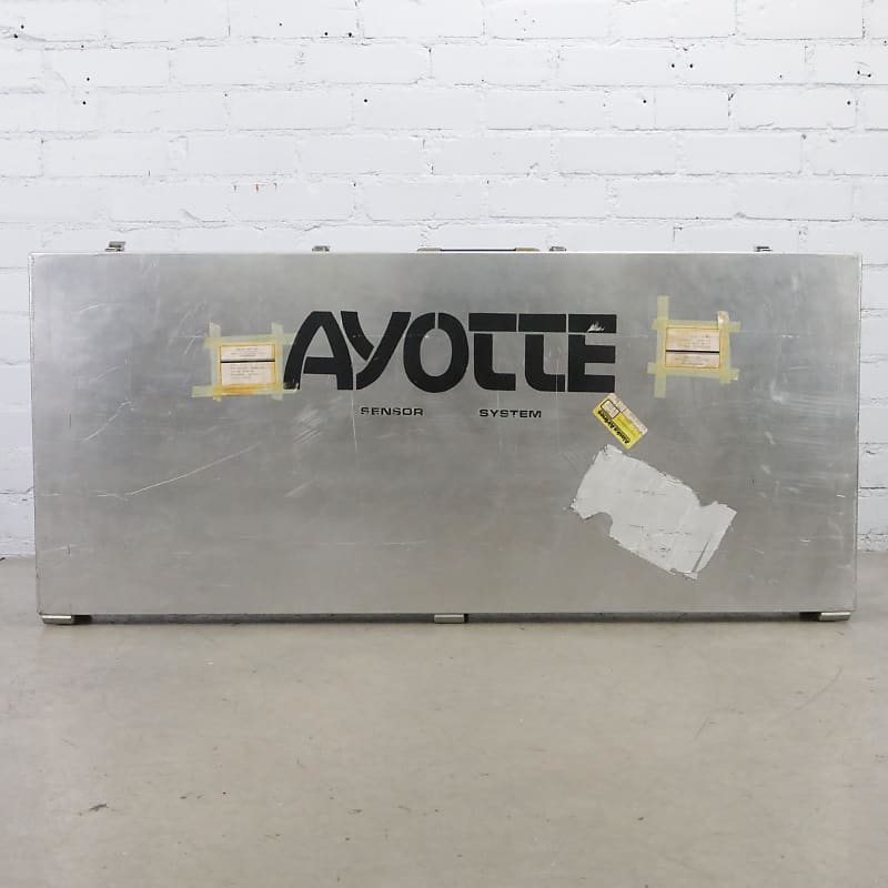 Ayotte Sensor System Road Tour Flight Case for Electric Vibes | Reverb