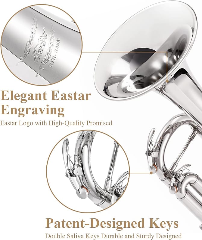 Bb Standard Trumpet Set for Beginner, Brass Student Trumpet | Reverb
