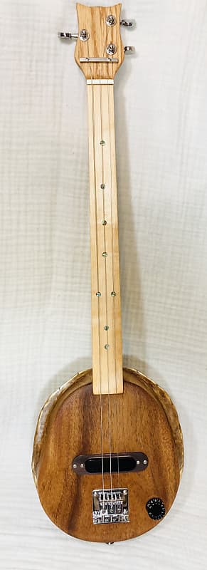 Turtle shell fretless slide guitar | Reverb