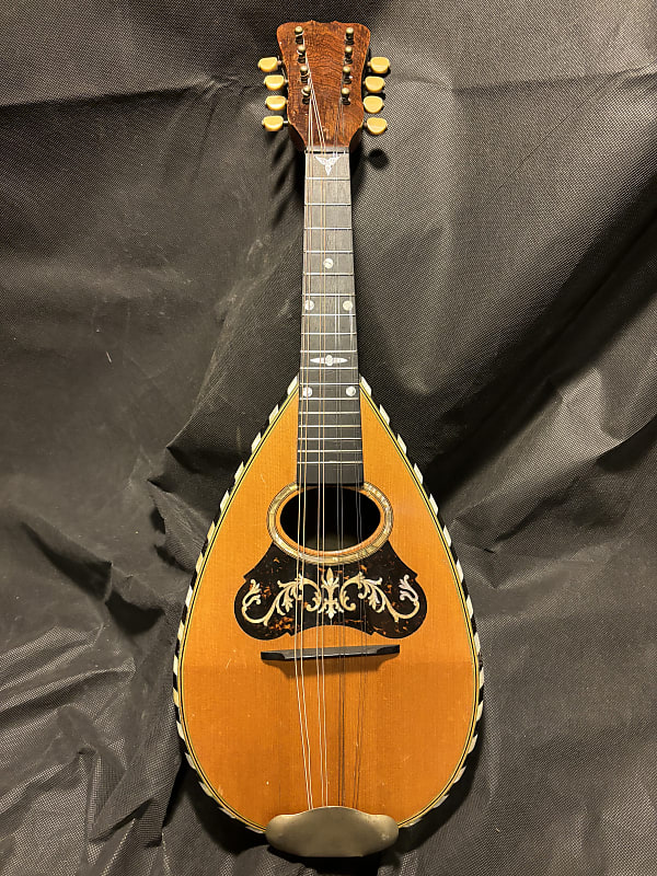 American Conservatory, Lyon & Healy Bowl Back Mandolin - | Reverb