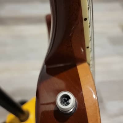 Robin Avalon Custom 1990 - Tobacco Sunburst | Reverb