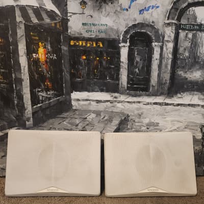 Infinity RS-10 Original Model 1982-85 Waknut | Reverb