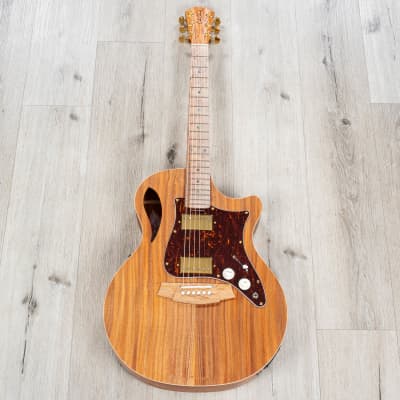 Cole Clark TL2EC-BLBL-HH True Hybrid Thinline Grand | Reverb