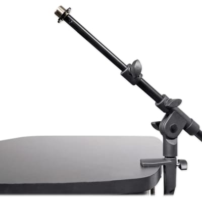 Samson iPad/iPhone/Kindle Hands-Free 18" Boom Arm For | Reverb