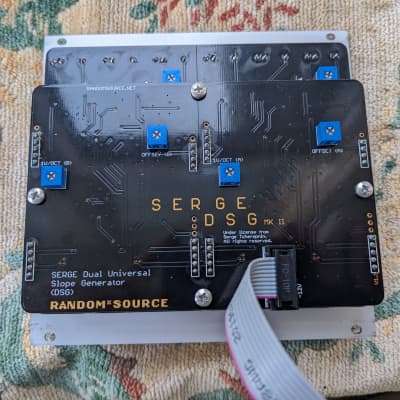 Random Source Serge Dual Universal Sloper Generator DSG | Reverb