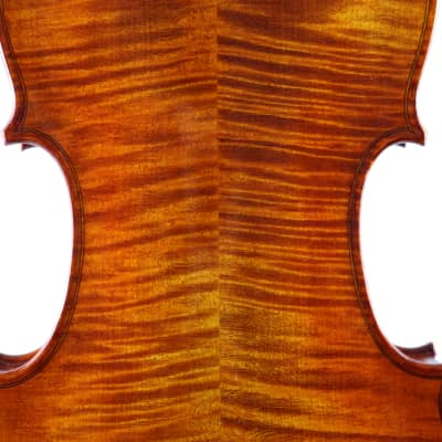 Modern 5 Strings violin/viola | Reverb