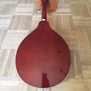 Sigma by Martin SM 23E Mandolin | Reverb