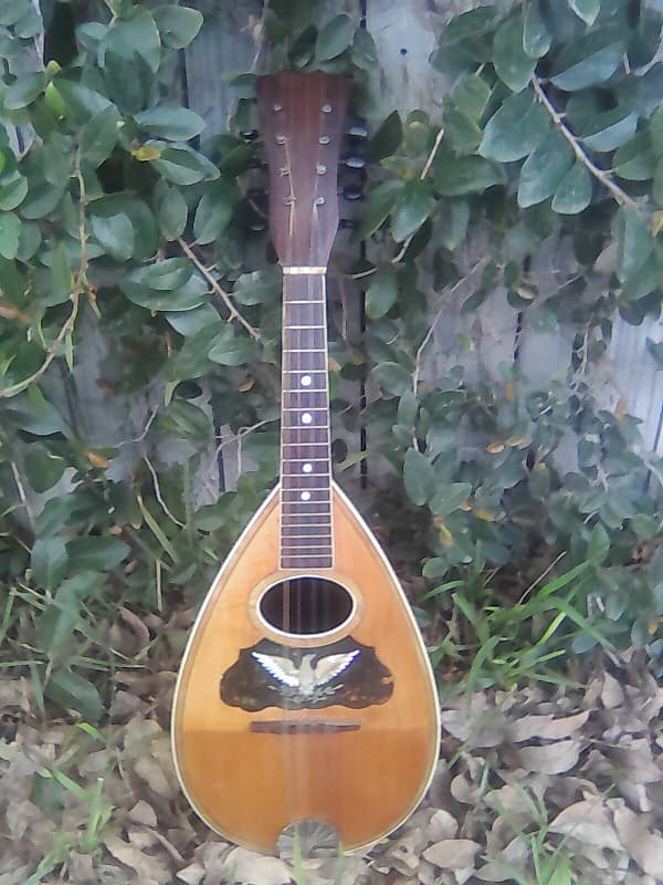Antique Century Old Rosewood Bowlback Mandolin Inlaid Amazing | Reverb
