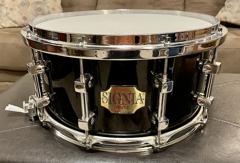 Premier Signia Maple 7x14” Snare Drum | Reverb