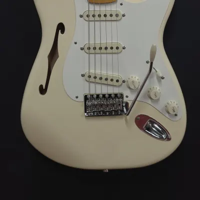 Custom Fender Stratocaster Thinline EJ Inspired Eric Johnson | Reverb