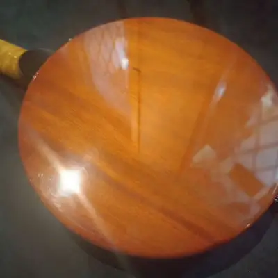 Widman Electric 5-String Banjo - Custom | Reverb