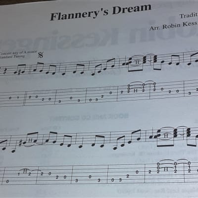 Robin Kessinger Blazing Flatpicking Guitar Solos Tab Book CD | Reverb