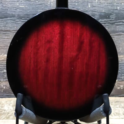 Cort CB-34 Tenor Banjo Bluegrass 4-String Resonator Banjo | Reverb