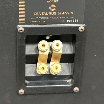 Apogee Centaurus Slant 8 Speaker (Pair) | Reverb