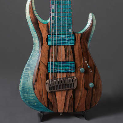 ESP Custom Shop Horizon CTM 9-String NAMM 2020 Exhibition | Reverb