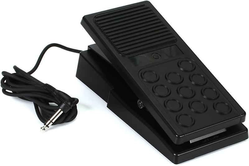 Hammond V-20RT Speed Control Pedal (V20RTd2) | Reverb