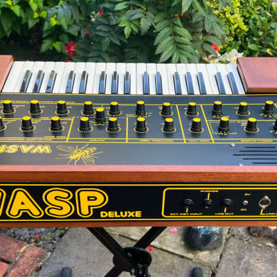 EDP Wasp Deluxe & Spider | Reverb