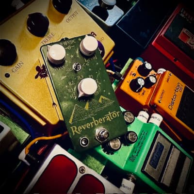 Dr Scientist Reverberator Reverb Pedal | Reverb