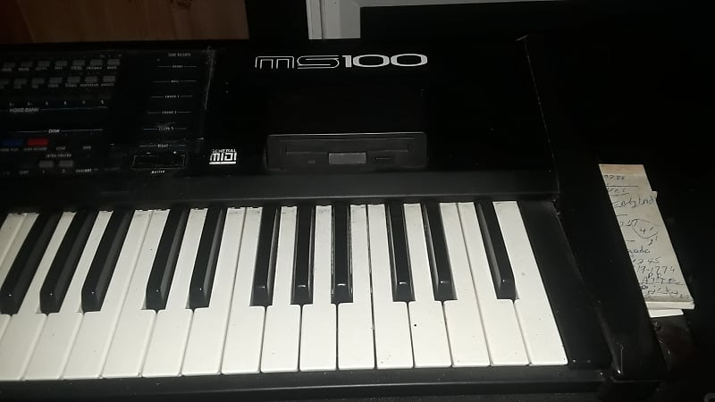 Solton MS100 | Reverb