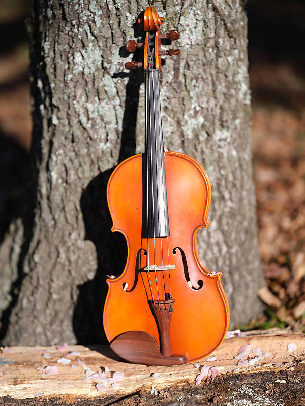 Otto Benjamin 2013 15.5" Viola by Eastman Strings | Reverb