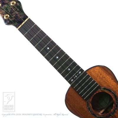 Leaf Instruments Teriha[Pre-Owned] | Reverb
