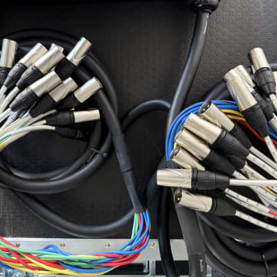 SARMSS-16x1530 - 16 Channel XLR TRS Combo Splitter Snake | Reverb