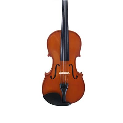 Maple Leaf Strings Model 120 Violin Outfit | Reverb