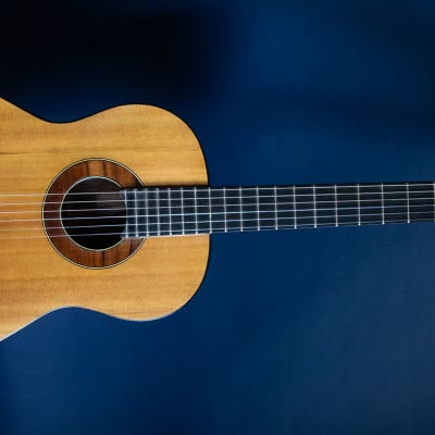 2014 Stephen Haddock lute 6 course Renaissance lute | Reverb