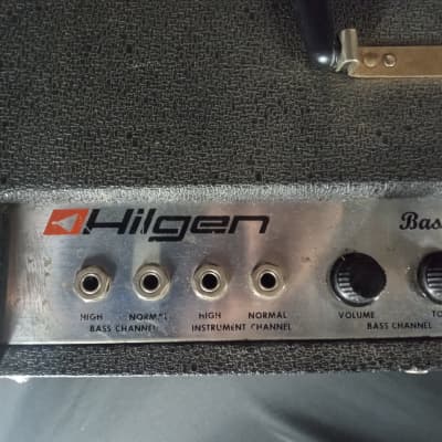 Hilgen Basso B2501 1x15" Combo Bass or Guitar Amplifer 7591 | Reverb