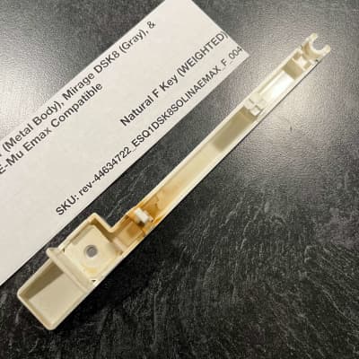 Ensoniq Replacement Weighted F Key (Ensoniq Keybeds) for | Reverb