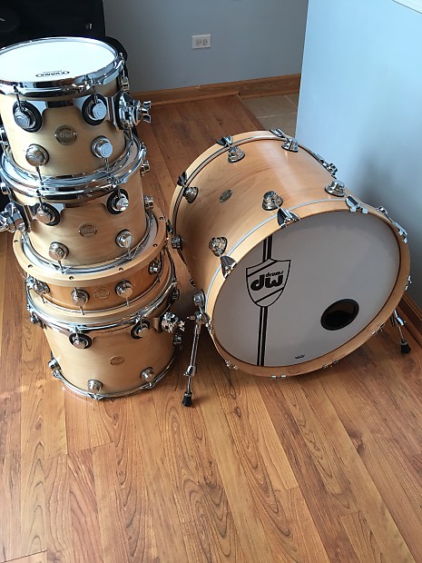 DW Collectors 5 Piece Gold Badge | Reverb