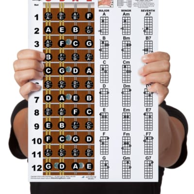 Laminated Mandolin Easy Chord Chart & Fretboard Notes Poster | Reverb