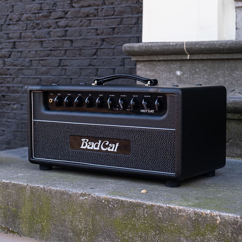 Bad Cat Hot Cat 45 watt Amplifier | Reverb