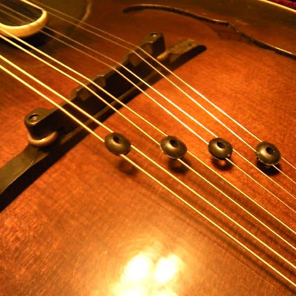 Mandolin overtone string dampers 5 sets | Reverb