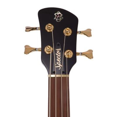 Spector USA Custom NS2 Fretless Bass Guitar - Desert Island - | Reverb