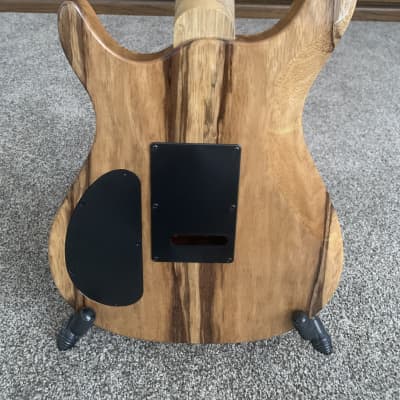 Kiesel CT6 2023 - Deep Wine Red spalted maple top | Reverb