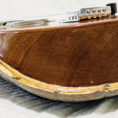 Turtle shell electric tenor guitar | Reverb