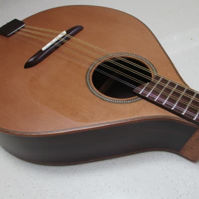 Paddy Burgin Irish Bouzouki | Reverb