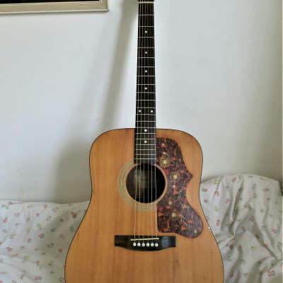 SaeHan Sunghan Korea (Vester) acoustic dreadnought guitar | Reverb